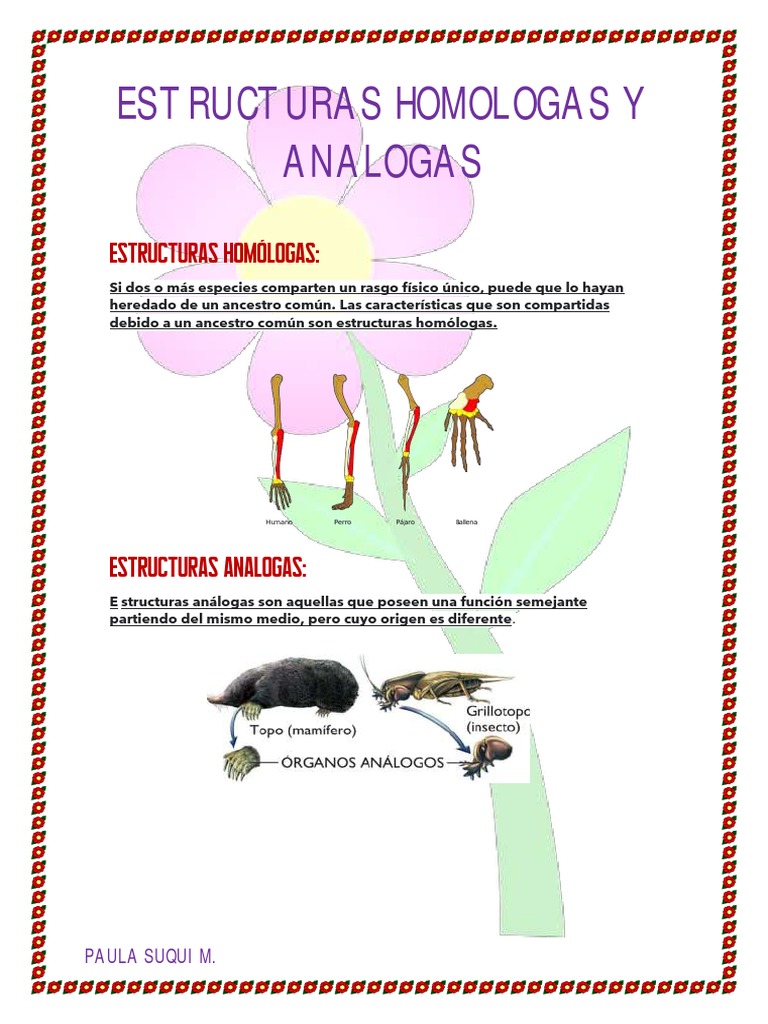 ESTRUCTURAS HOMOLOGAS Y ANALOGAS | PDF