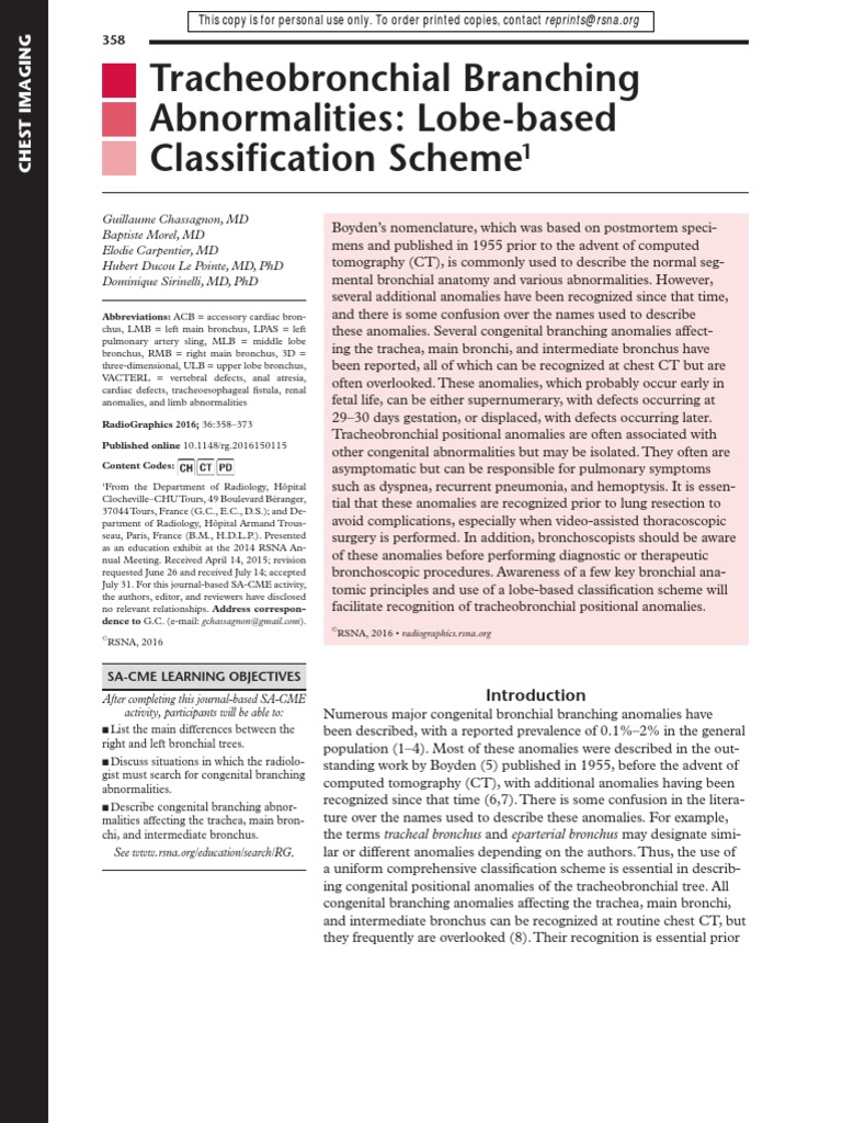 Aula 1 - Tracheobronchial Branching | PDF | Lung | Respiratory Tract