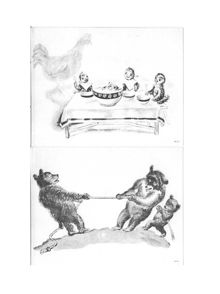 Láminas CAT | PDF