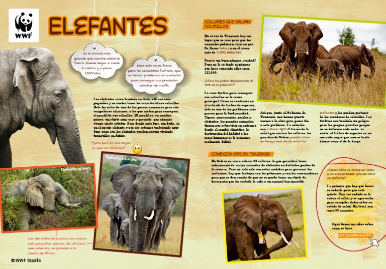 Collares GPS protegen elefantes en Selous | PDF