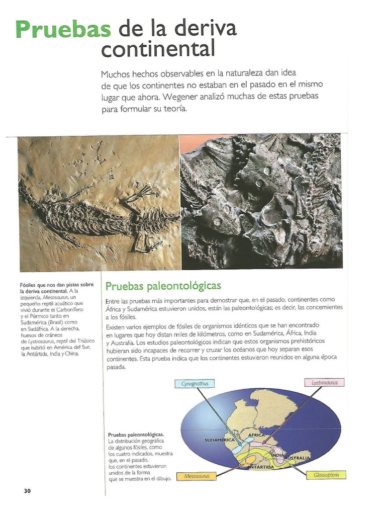 Pruebas de La Deriva Continental | PDF