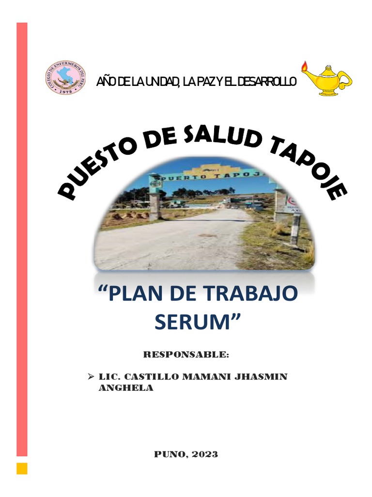 Plan de Trabajo de Trabajo Serum | PDF