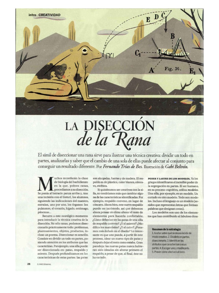 La Diseccion de La Rana | PDF