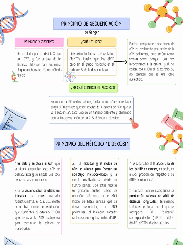 Principio de Secuenciación de Sanger | PDF | Secuencia ADN | Adn