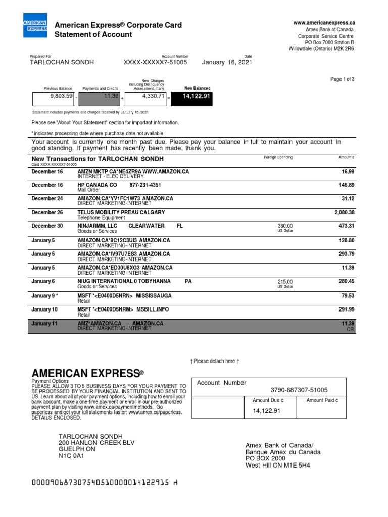 Amex Canada Statement Jan-2021 | PDF