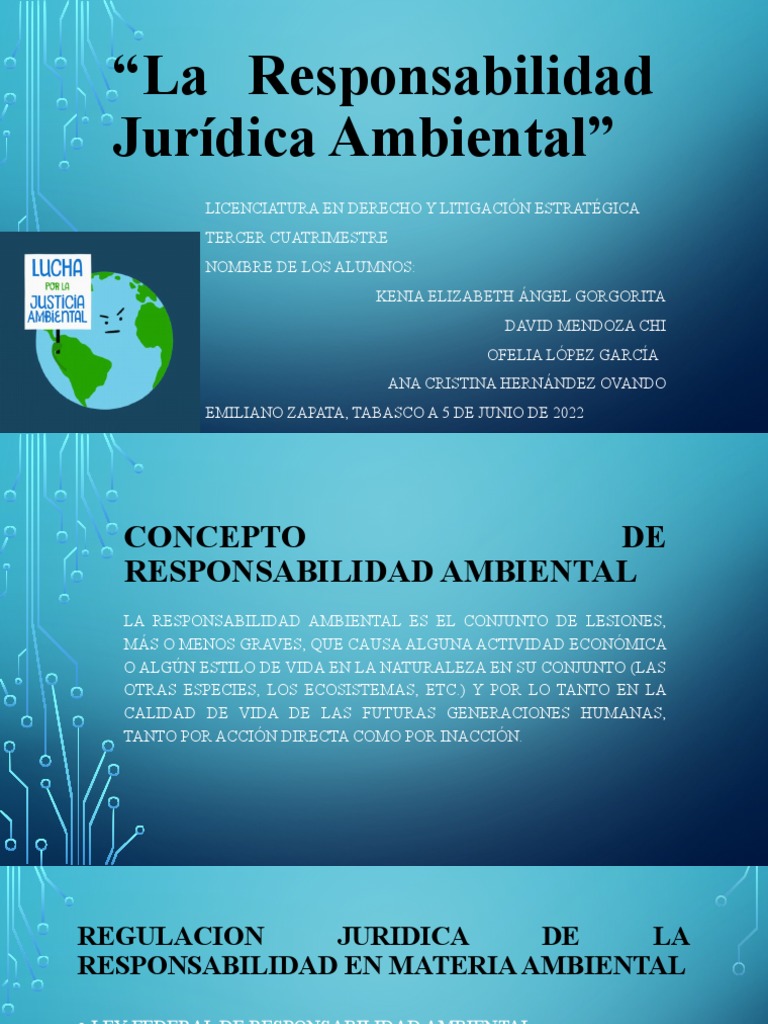 Concepto de Responsabilidad Ambiental | PDF