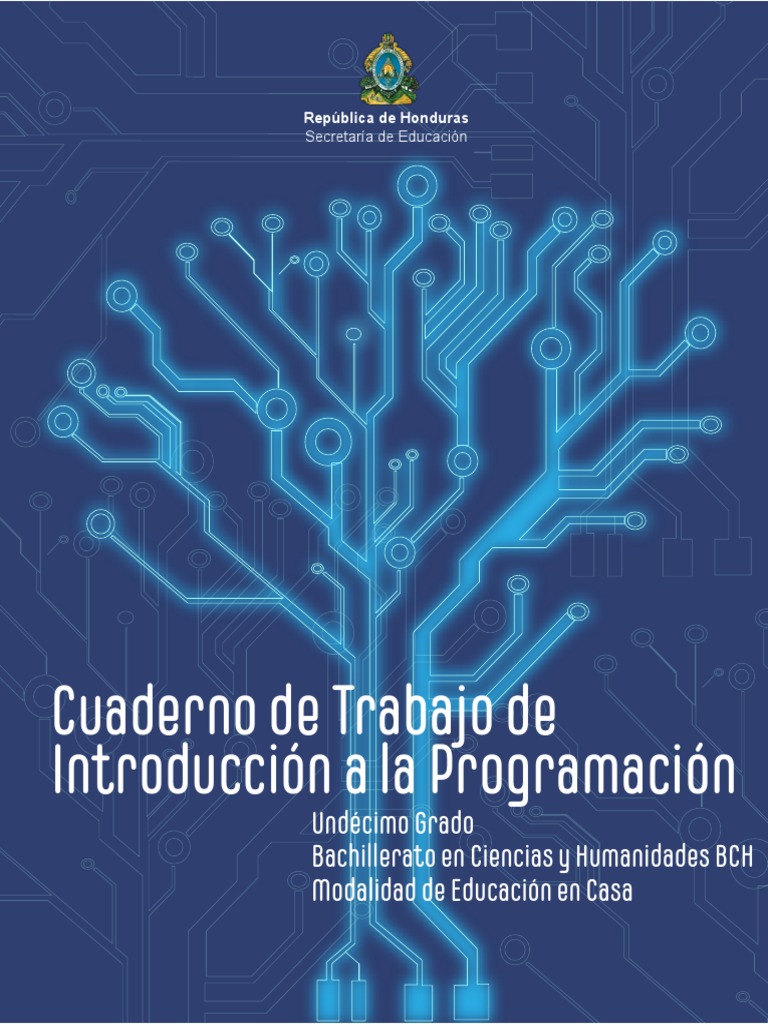 Cuaderno de Trabajo Introducción A La Programación-1 | PDF | Algoritmos | Cadena (informática)