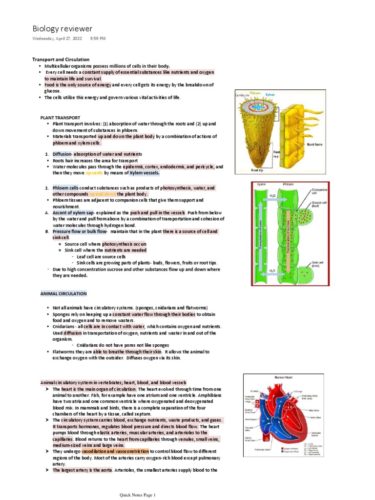 Biology Reviewer Edited | PDF