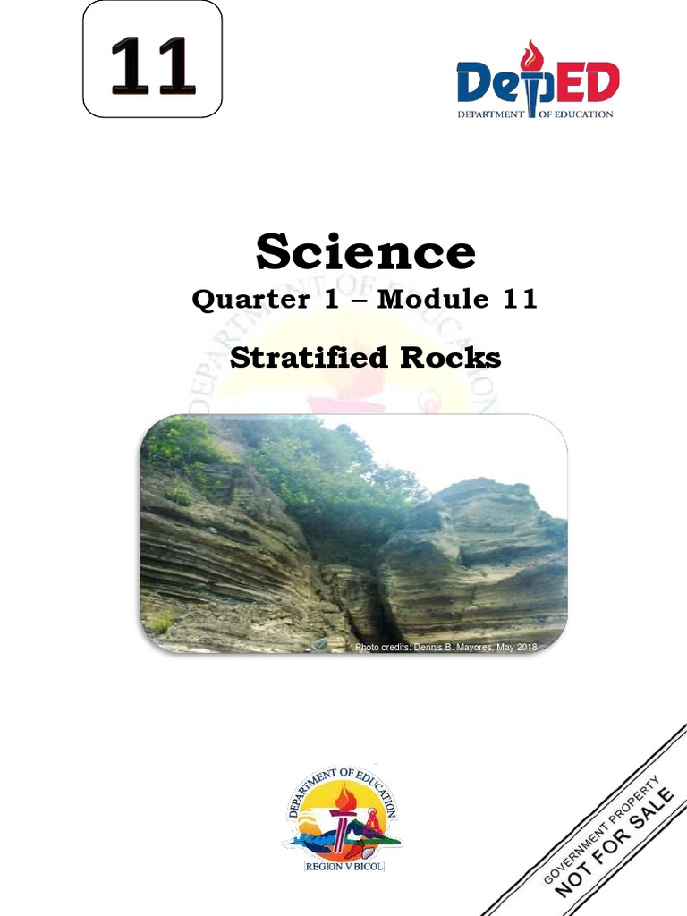 11 Core Subject Science 11 Earth - Life Science Q1 Module 11 | PDF | Sedimentary Rock | Rock ...