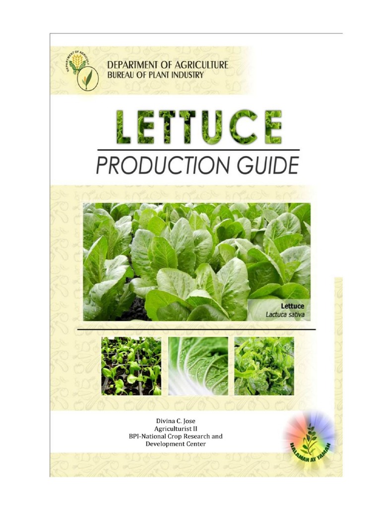 1640931738lettuce Production Guide | PDF