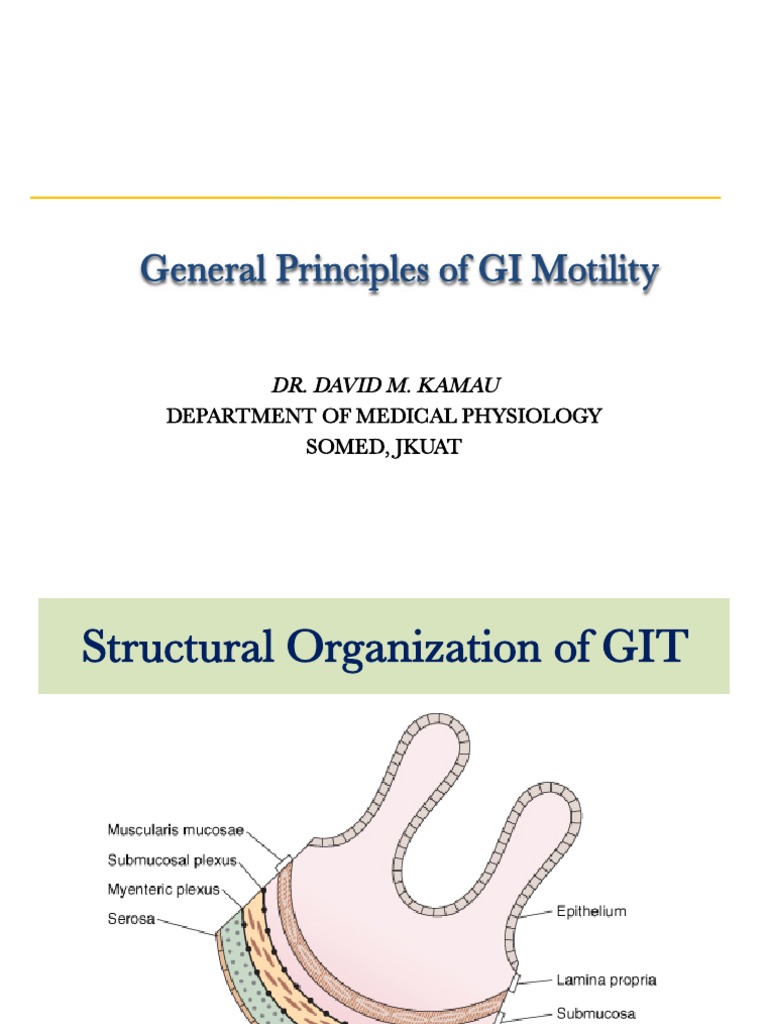 General Principles of GI Motility DMK | PDF