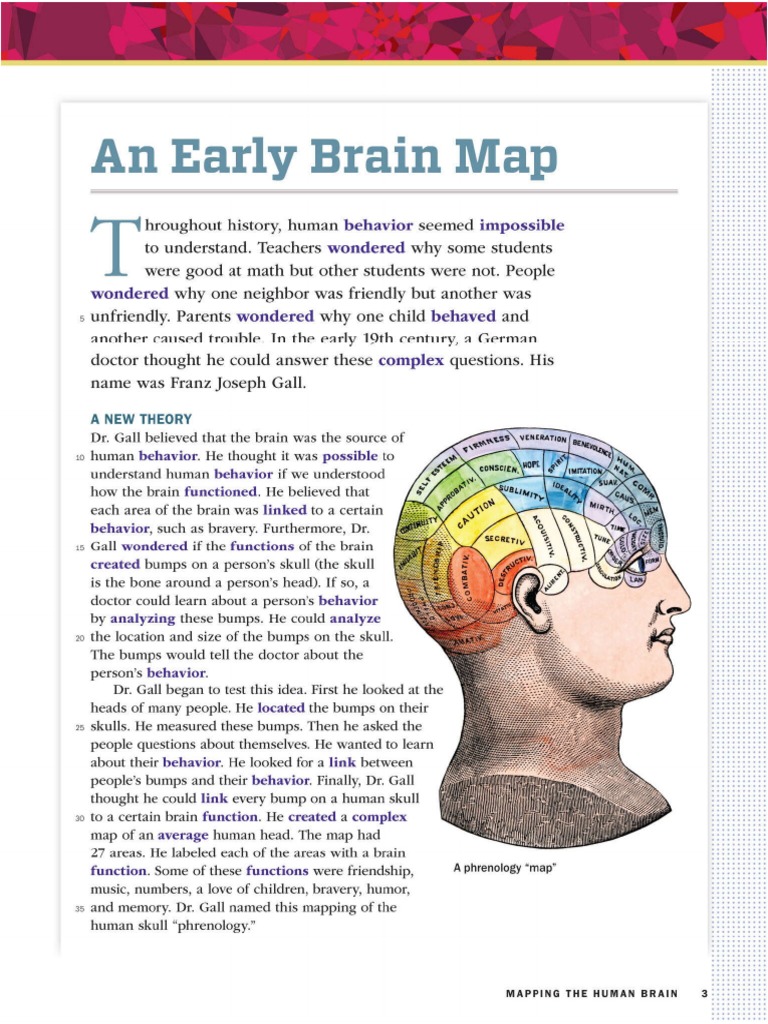 Brain Map | PDF