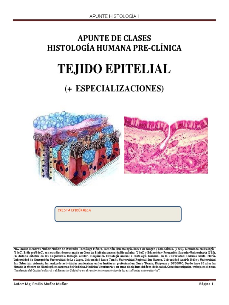 Copia de 2. - APUNTE HISTOLOGÃ - A (Tejido Epitelial ... Copia de 2. - APUNTE HISTOLOGÃ - A (Tejido Epitelial ...