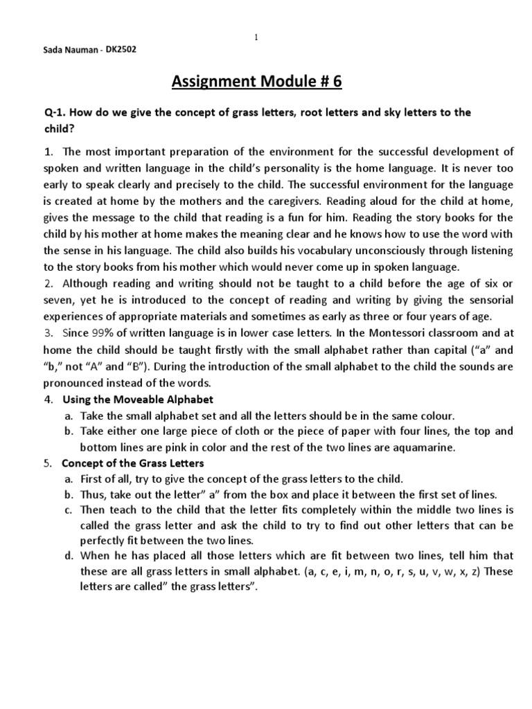Assignment Module 6 (Saba Nauman-DK2502) | PDF | Foreign Language Studies