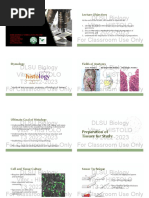 BIONETWORK Virtual Microscope Guide | PDF | Optical Devices | Microscopy