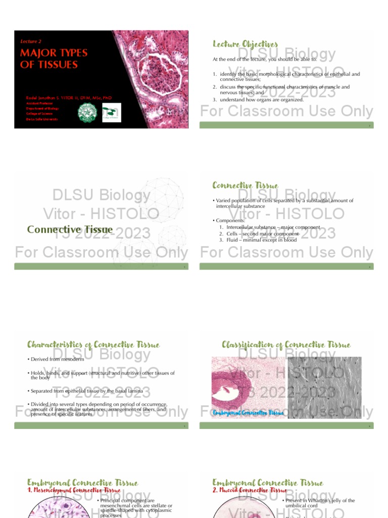 HISTOLO Lecture 2b - Major Types of Tissues (1) | PDF