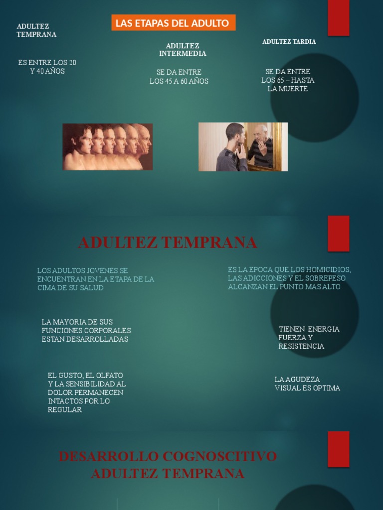 Etapas de La Adultez | PDF | Adultos | Ciencias del comportamiento