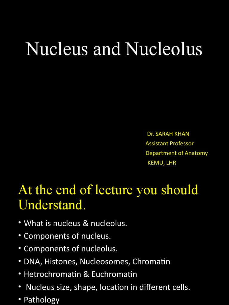 Zuhad by Rida Saleem Complete | PDF | Cell Nucleus | Chromatin