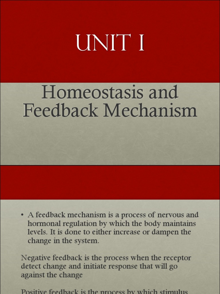 1 - Homeostasis, Feedback Mechanism, and Tissues | PDF | Epithelium ...