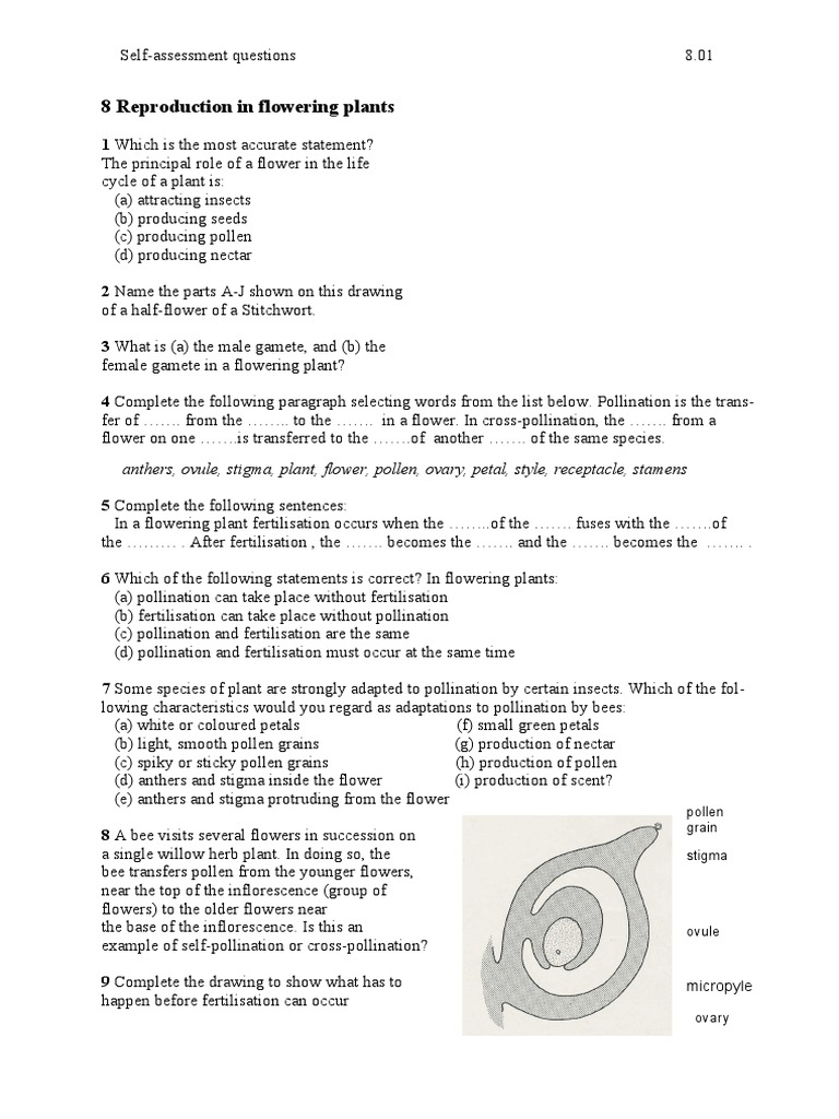 Plant Reproduction and Pollination Guide | PDF | Flowers | Pollination