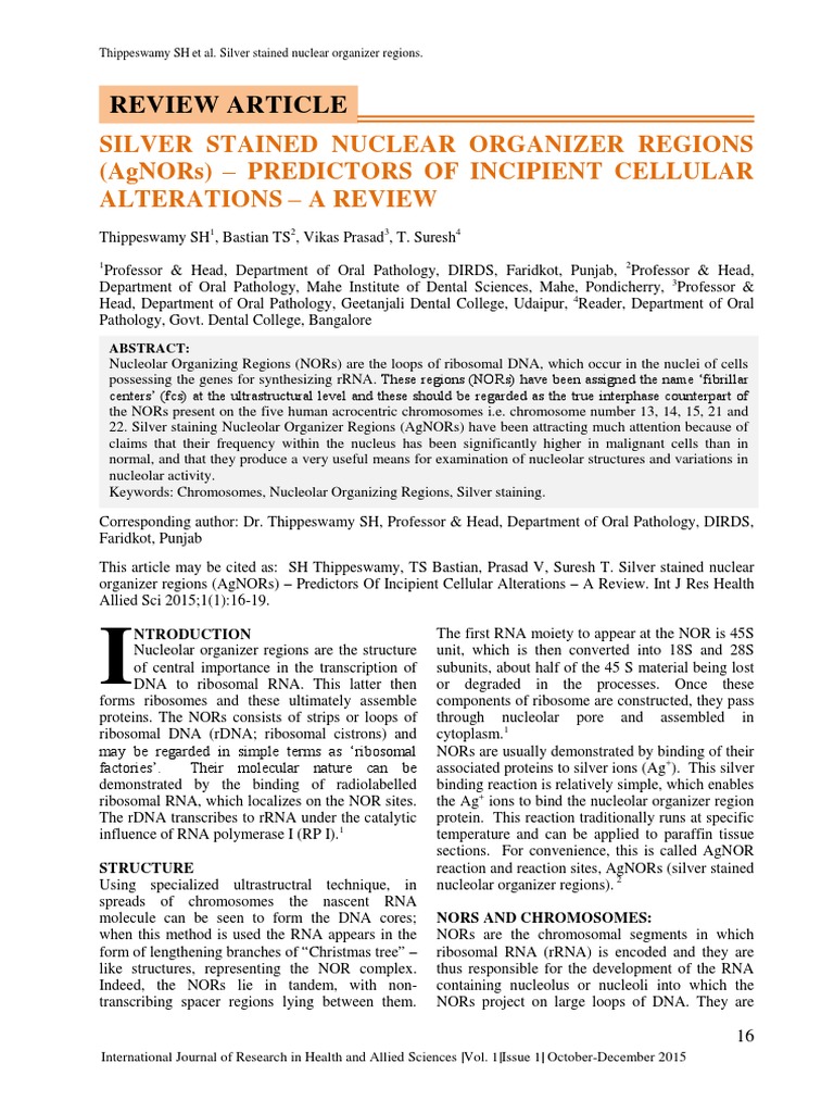 5. SILVER STAINED NUCLEAR ORGANIZER REGIONS.20160227044843 | PDF