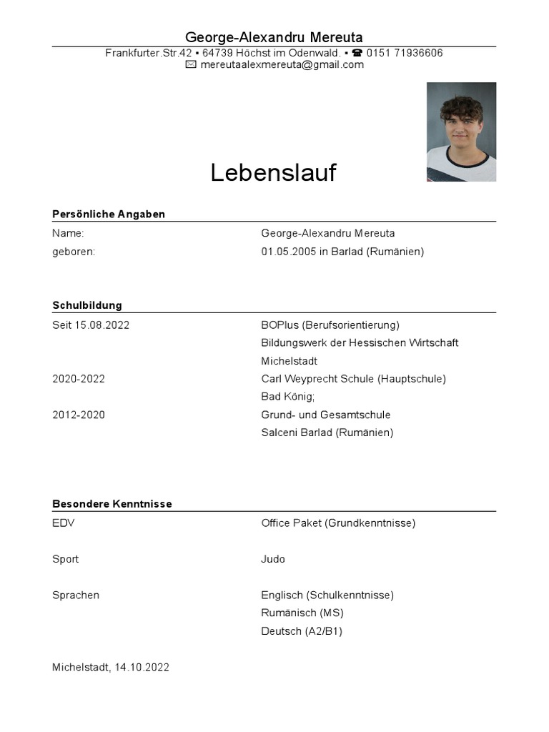 Lebenslauf Alex Neu | PDF