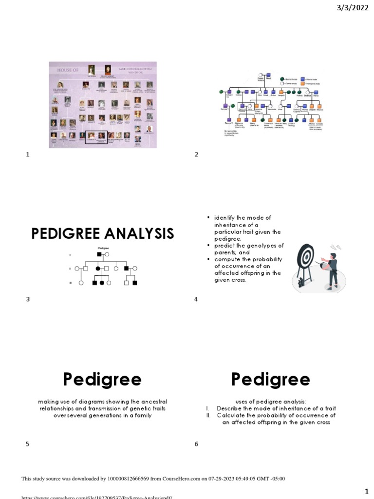 Pedigree PPT (Biology) | Download Free PDF | Dominance (Genetics ...