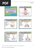 Respiratory System Cut and Paste PDF | PDF | Foreign Language Studies