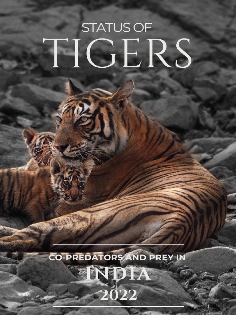 Status of Tigers - 2022 | PDF