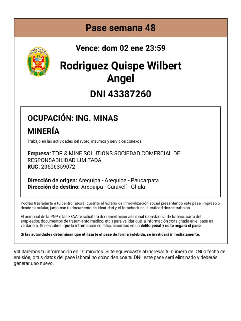 Rodriguez Quispe Wilbert Angel: Pase Semana 48 | PDF