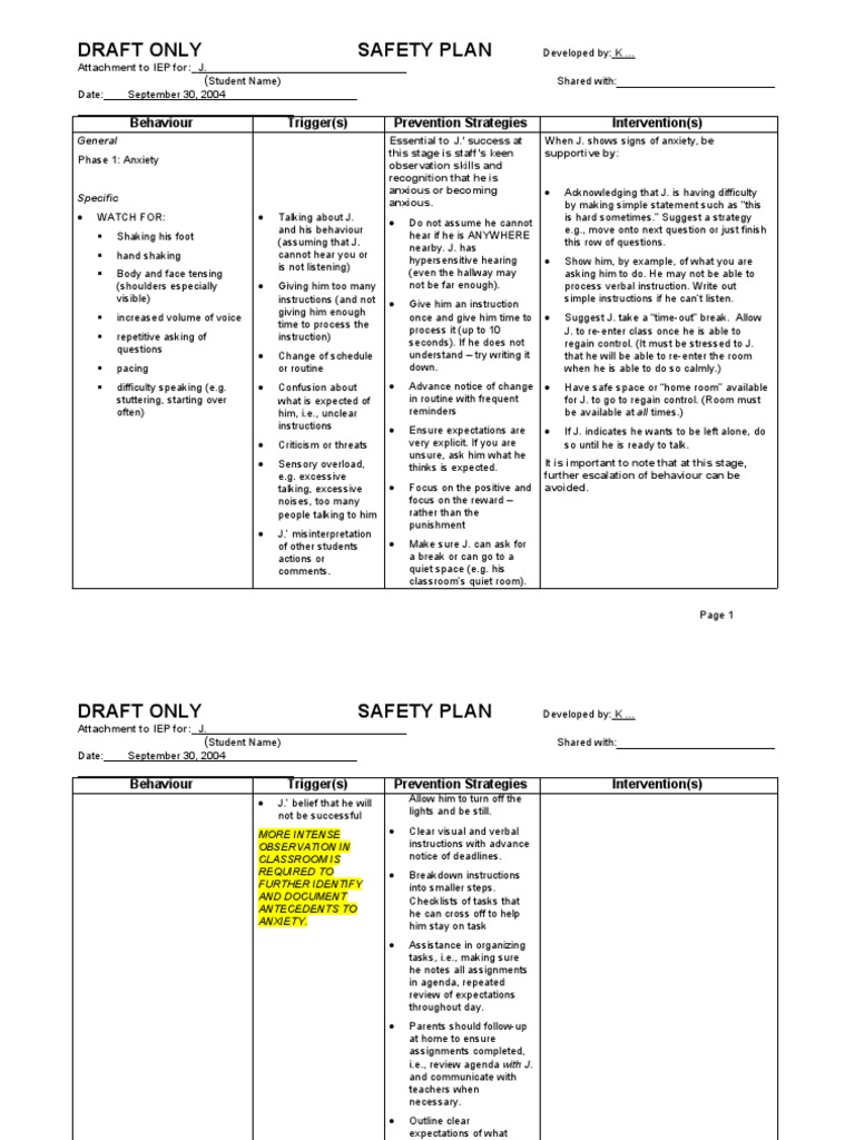 Behaviour Safety Plan | PDF