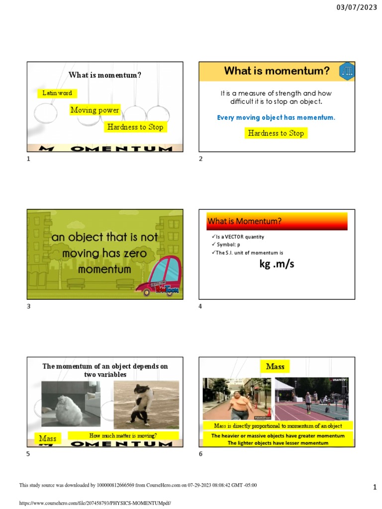 Physics Momentum PDF | PDF