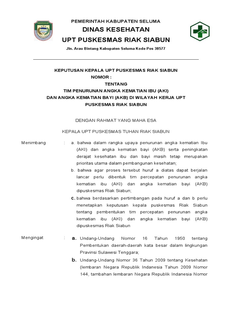 Tim Penurunan AKI dan AKB Puskesmas Riak Siabun | PDF