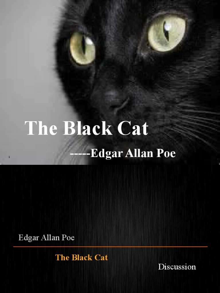 The Black Cat | PDF | Mystery, Thriller & Crime Fiction | General Fiction