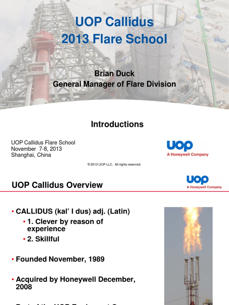 UOP Callidus Flare School Manual | PDF | Technology & Engineering