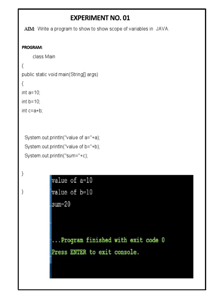 Java Variable Scope and Typecasting | PDF