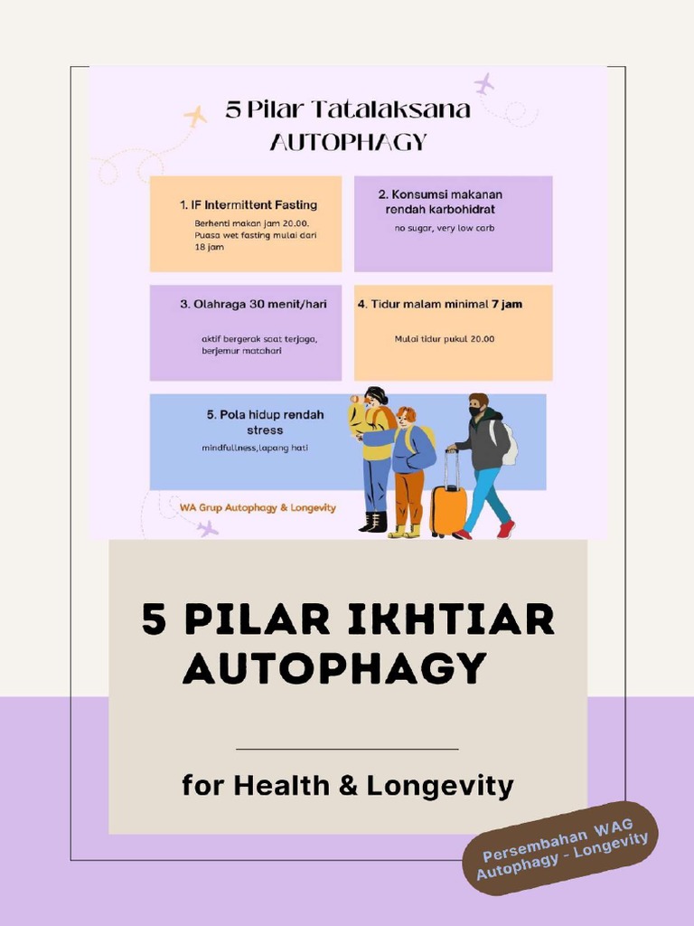 Protocol Autophagy | PDF