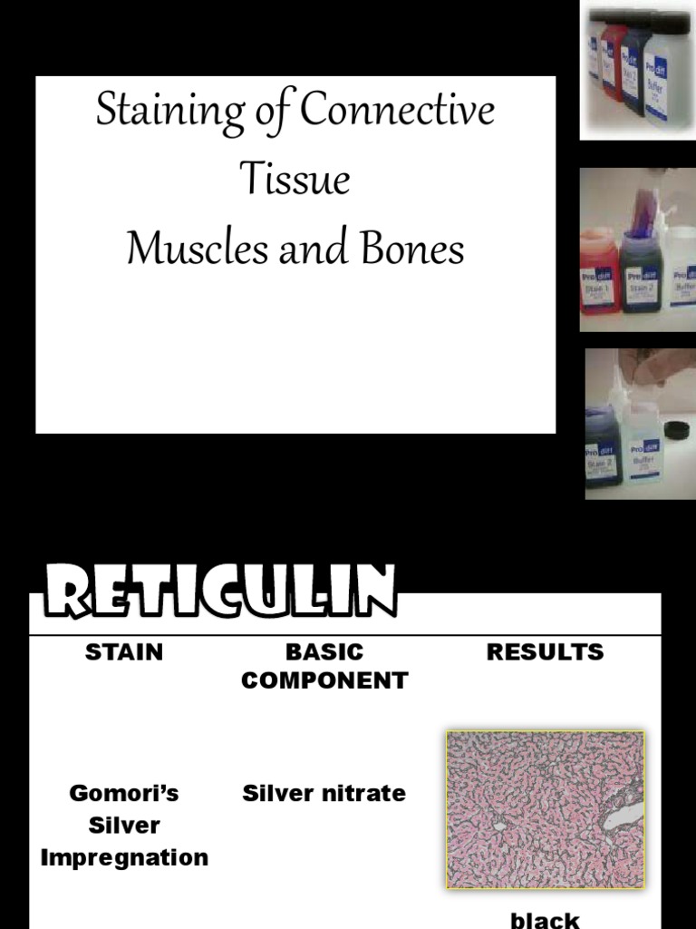 Staining of Connective Tissues | PDF | Staining | Anatomy