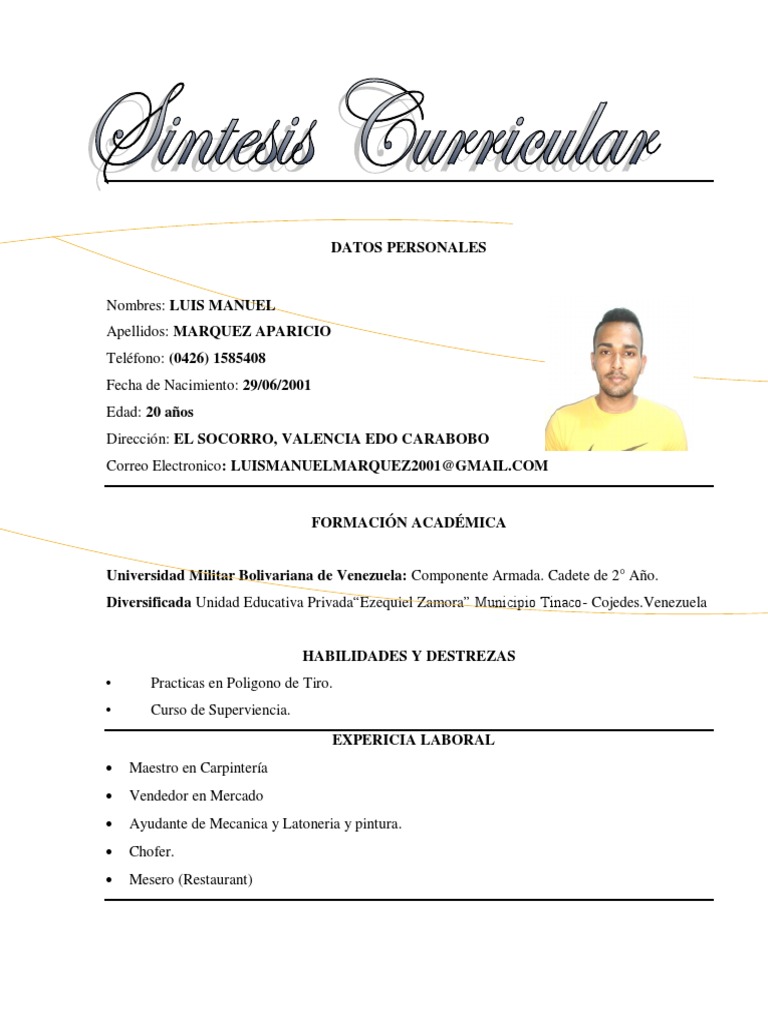 Curriculo Luis | PDF