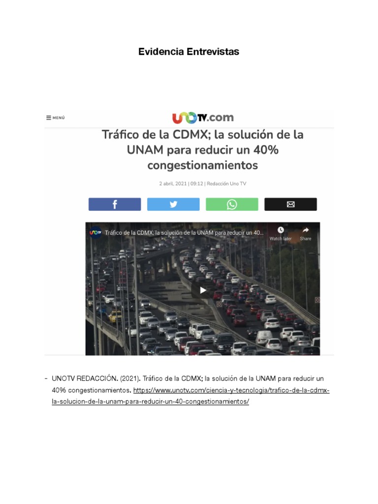 Evidencia Entrevistas | PDF | Negocios | Ciencias sociales