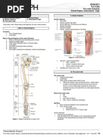 The Femur - Proximal - Distal - Shaft - TeachMeAnatomy | PDF | Knee | Hip