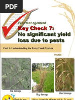 Rice Morphology and Growth Stages Guide | PDF | Rice | Seedling