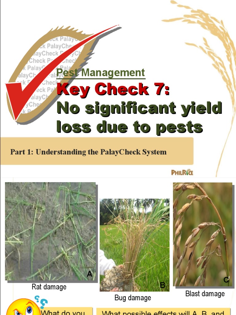 Key Check 7: Pest Management Insights | PDF | Pest (Organism) | Pest ...