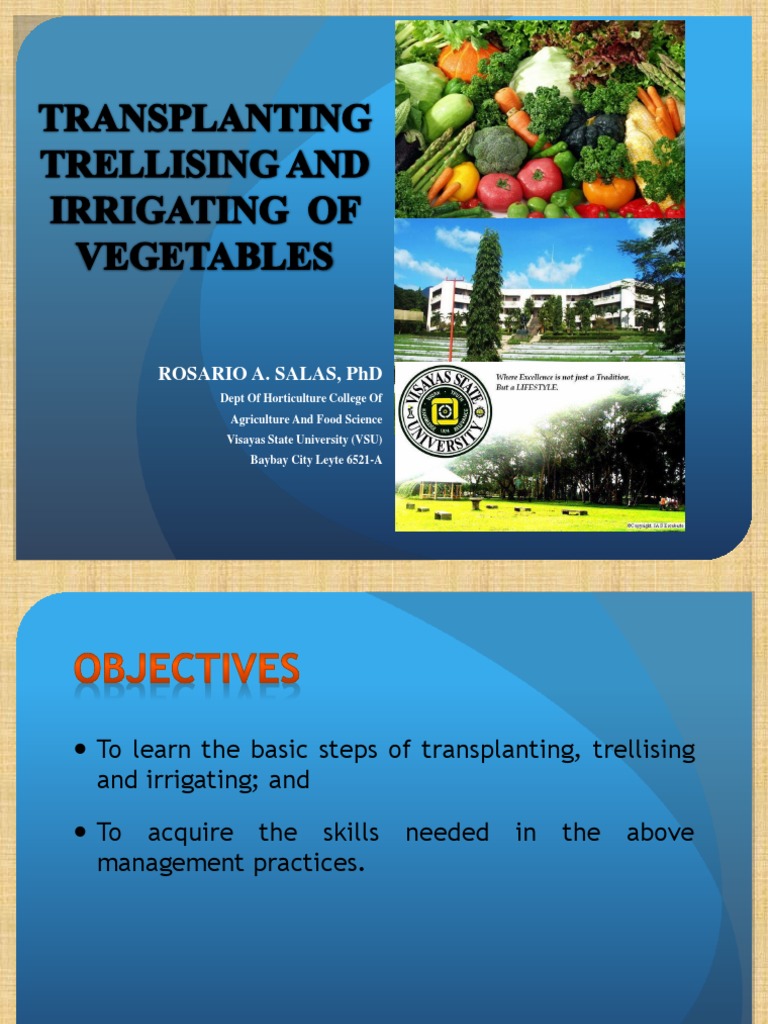 Planting, Trellising & Irrigation | PDF | Horticulture | Botany