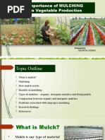 Types of Seed Beds in Agriculture | PDF | Seed | Soil