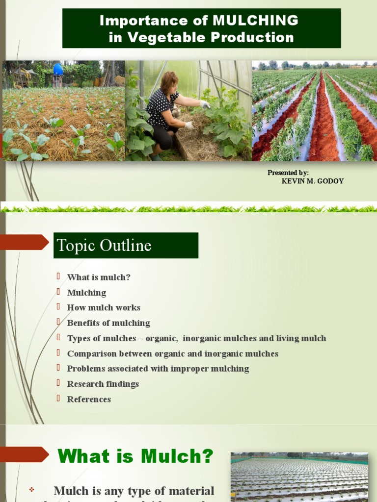 MULCHING | PDF | Mulch | Soil