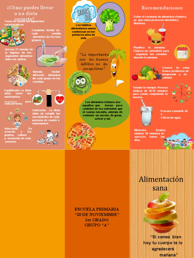 Triptico de Alimentacion Saludable 11 | PDF | Dieta | Alimentos