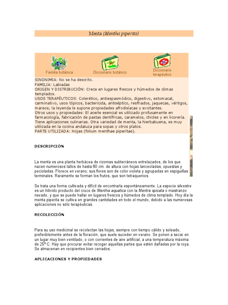 Usos y propiedades de la menta piperita | PDF