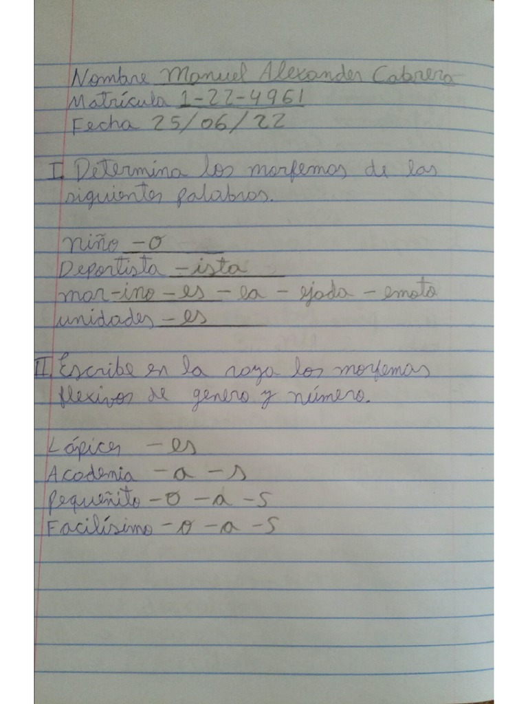 Primer Parcial Lengua Espa Ola | PDF