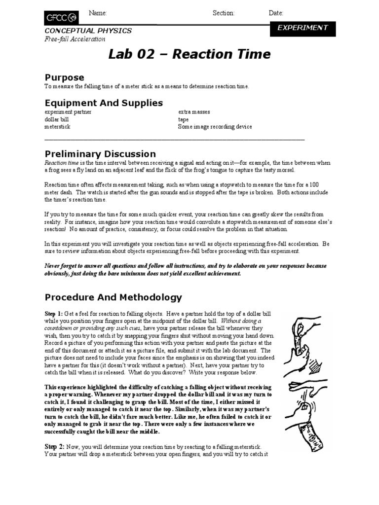 PHY 110A Lab 02 - Free-Fall Acceleration Experiment | Download Free PDF | Mental Chronometry ...